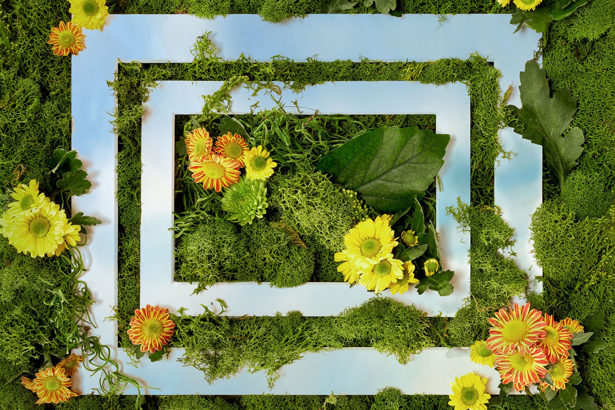 Forward Funds and a More Diverse Creative Ecosystem