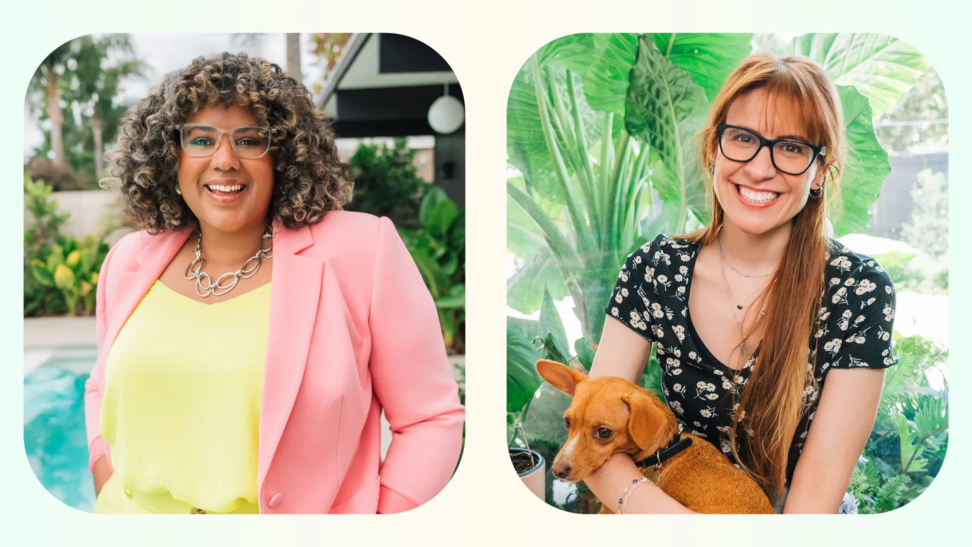 Kickstarter Creator Case Studies